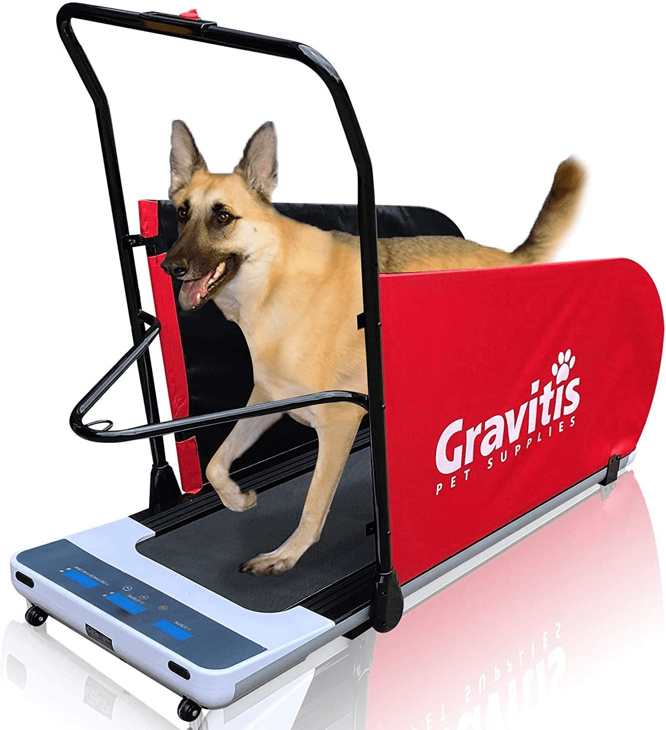 5 Best Treadmill for Your Dog - Top Brand Reviews - Pliizy